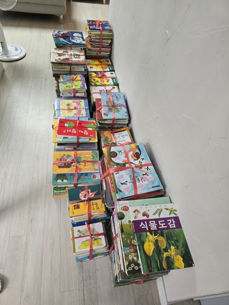 대구 동구 도동 일반주택 동화책 그림책 아동전집 유아동책 잡지 만화책 도서 서적 헌책 단행본 방문수거 집정리 이사짐정리 아파트