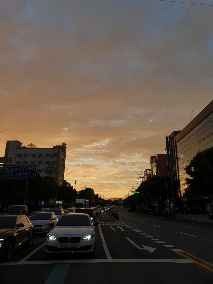 [간석동 왁싱백프로&테라피]왁싱샵 쥔장의 털 이야기:) : 네이버 블로그
