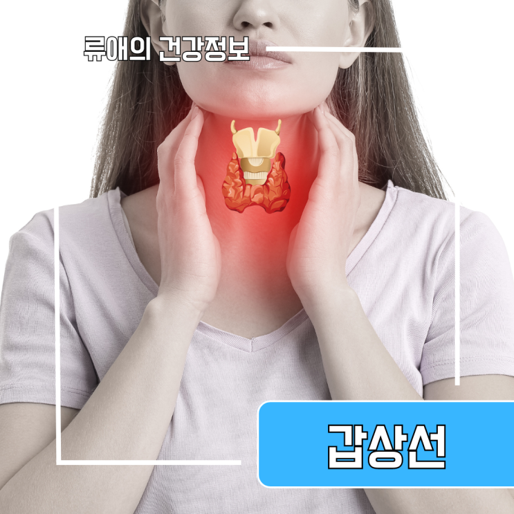 갑상선기능저하증약 처방 부작용 갑상선약 평생 복용 네이버 블로그