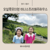 제주 서귀포 아이와 가볼만한곳 오설록 티뮤지엄 이니스프리 제주하우스 네이버 블로그