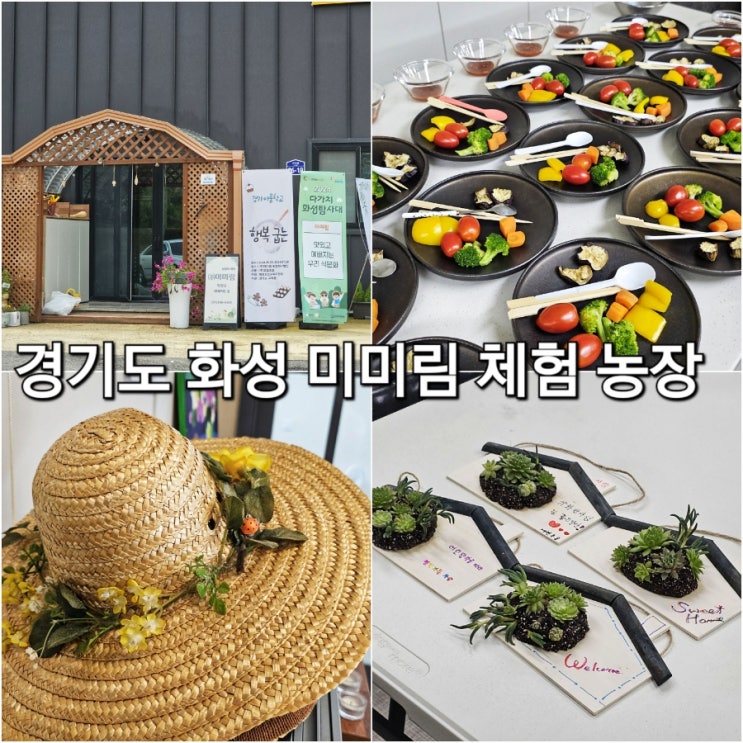 경기도 이색 농촌 체험 교육 농장 화성 미미림 다육액자 오색오미꼬치 만들기 체험 네이버 블로그