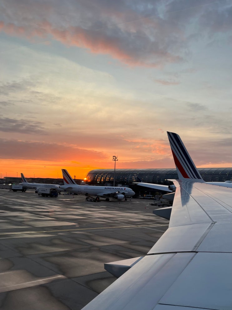 신혼여행 34. KE902/ 대한항공 수하물 지연 & 파손 보상 후기/ 니스공항 택스리펀 : 네이버 블로그