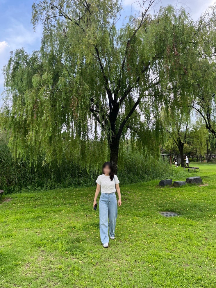 대전 가볼만한곳 1박2일 여행코스 추천ㅣ맛집 카페 술집 실내 가볼만한곳 네이버 블로그
