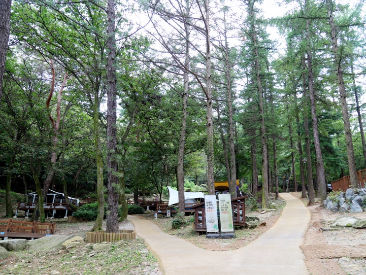 용인 가볼만한곳 자연 캠핑과 숙박용인자연휴양림 네이버 블로그
