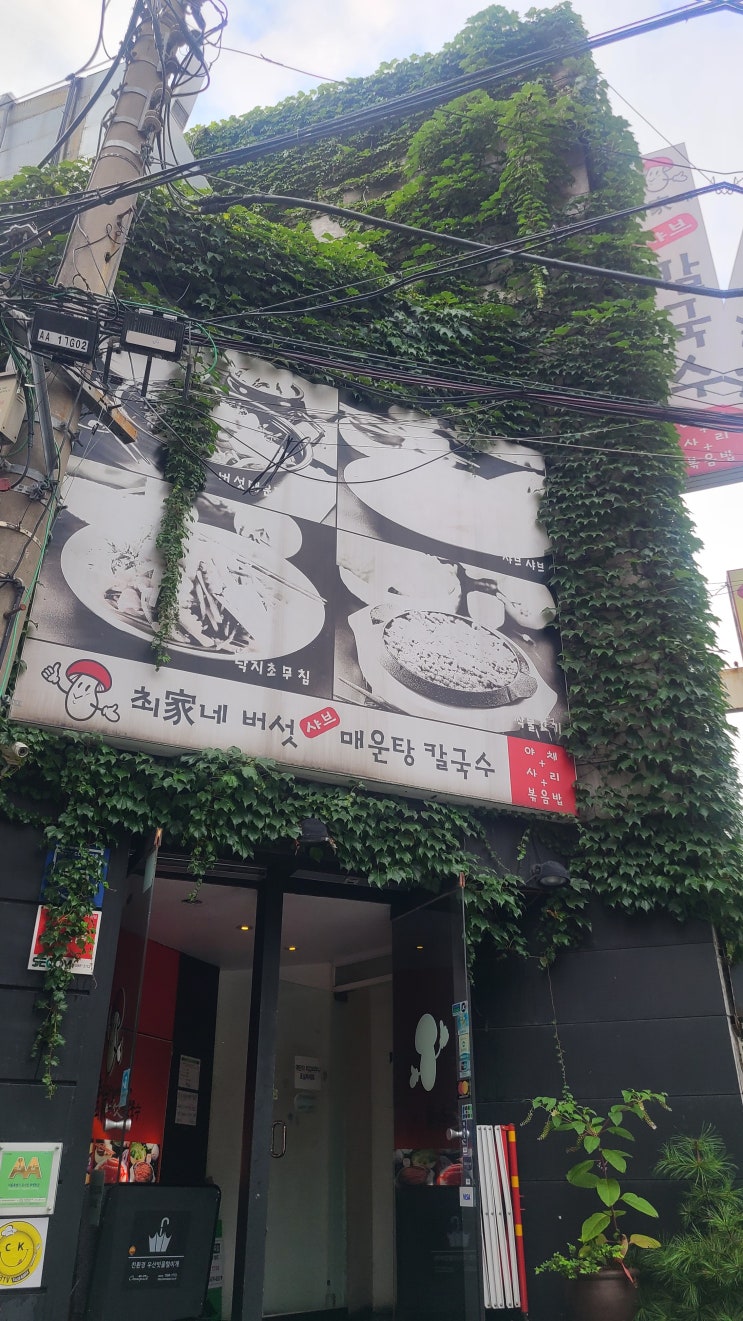 서울 강남구 압구정로데오역 샤브샤브 최가네버섯샤브매운탕칼국수 네이버 블로그
