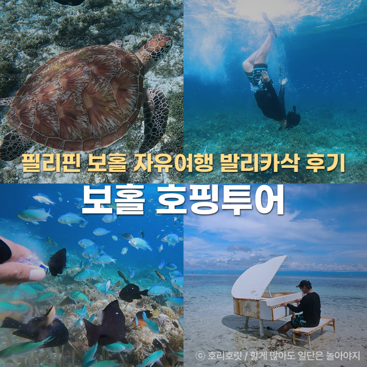 필리핀 보홀 호핑투어 프라이빗 자유여행 발리카삭 후기 네이버 블로그