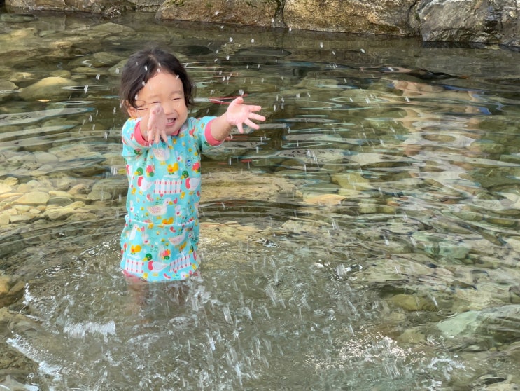 충남 공주 동학사계곡 아기와 놀러가기 좋은 대전 근교 계곡 무료 계곡 추천 깨끗하고 그늘있는 계곡 네이버 블로그