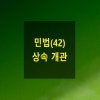 핵심만 알아보는 민법42 상속사망 상속순위 상속인 상속결격 대습상속 상속재산 과징금 변상금 재사용재산