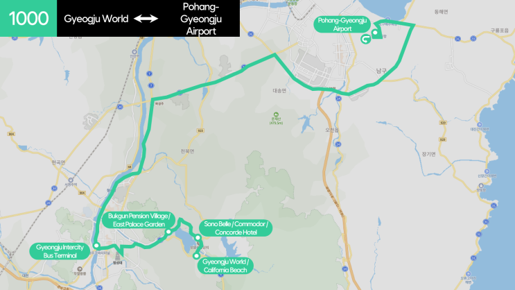 Gyeongju Bus No.1000 Seat(Airport) bus (Gyeongju World ~ Pohang ...