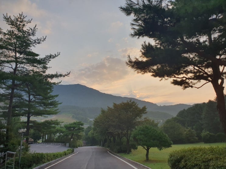 오늘의 말씀 QT 8/20(화) 데살로니가전서 1:1-10 감사로 기억되고 믿음의 본이 되는 성도! : 네이버 블로그