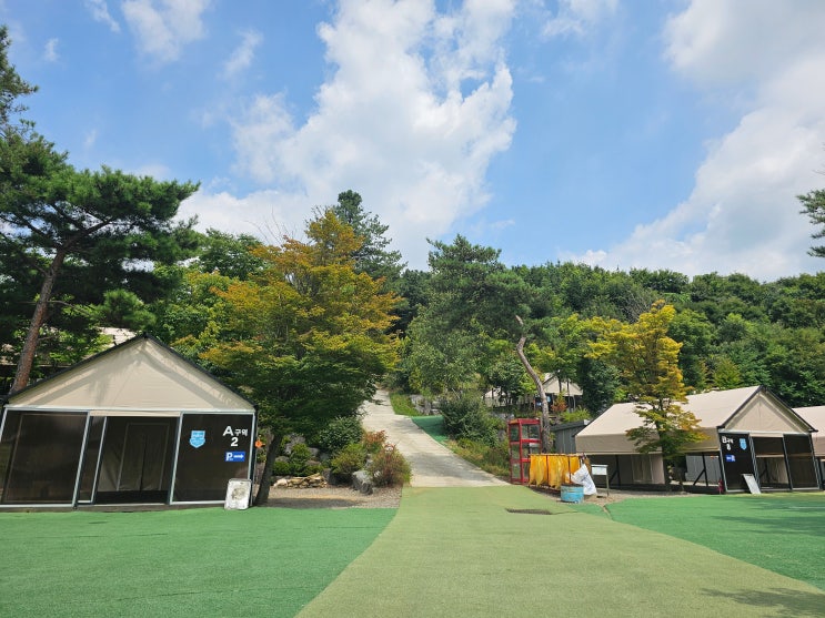 광릉숲이야기캠핑장 포천키즈캠핑장 풀타프존 개별화장실 실내키즈카페 실내모래놀이 네이버 블로그