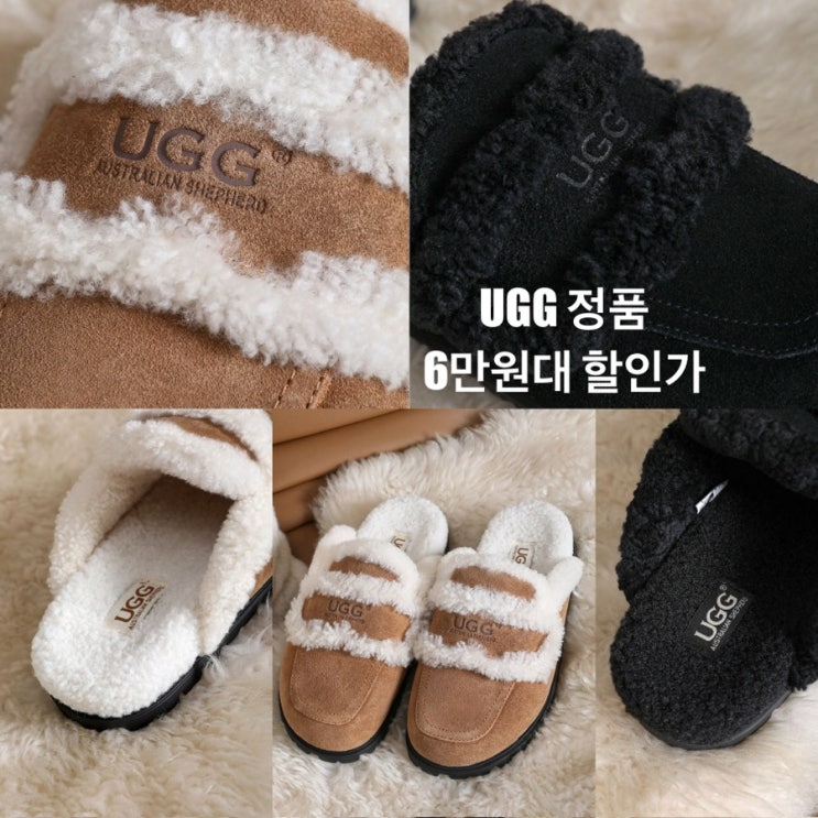 UGG 이것도 인기 : 네이버 블로그