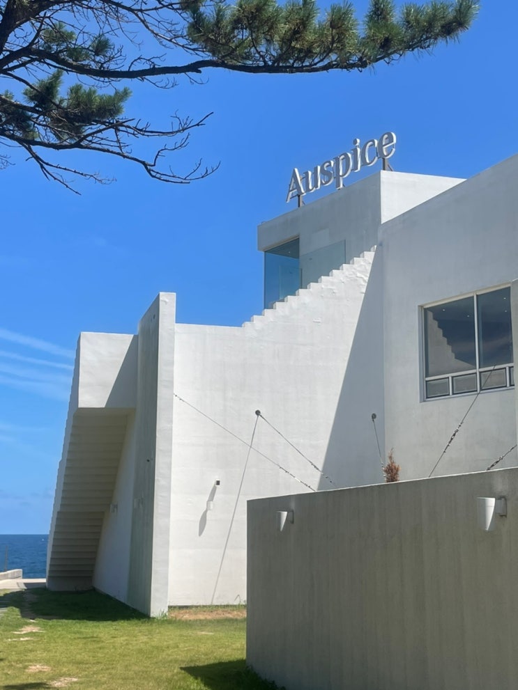 포항, 호미곶 오션뷰 감성 카페 Auspice coffee 어스피스커피 : 네이버 블로그