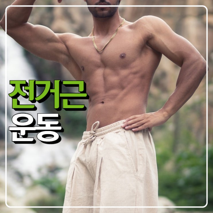 전거근 통증 완화 운동 위치와 기능 네이버 블로그