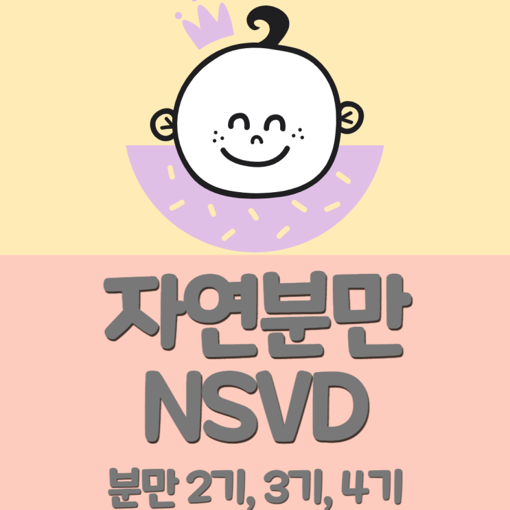 자연분만이란?(NSVD란?)-분만실 실습 시 이거 알고 가면 좋아요 8탄 : 네이버 블로그