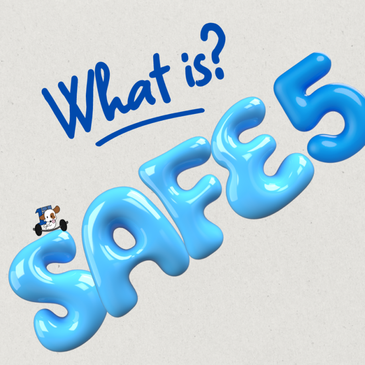 오송 퍼피짐 그룹 운동인 SAFE5가 f45, 크로스핏과 다른 특징은? : 네이버 블로그