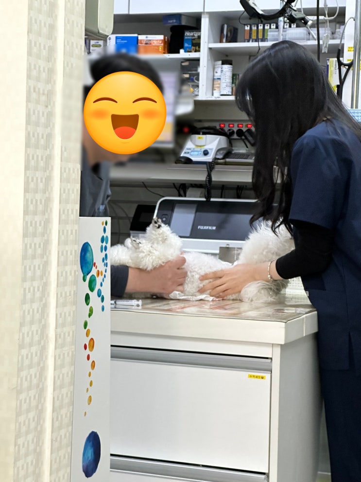 강아지 알러지검사 비용 후기 _팝애니랩 지연형 빨간 눈물 : 네이버 블로그