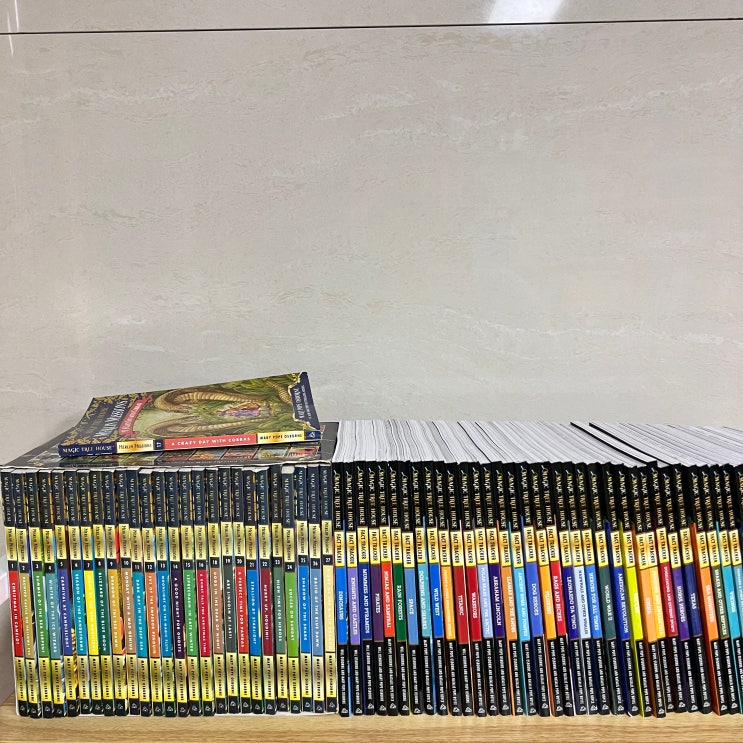 3학년 초등 아이 여름방학 원서 읽기_ Merlin Mission&Fact Tracker : 네이버 블로그