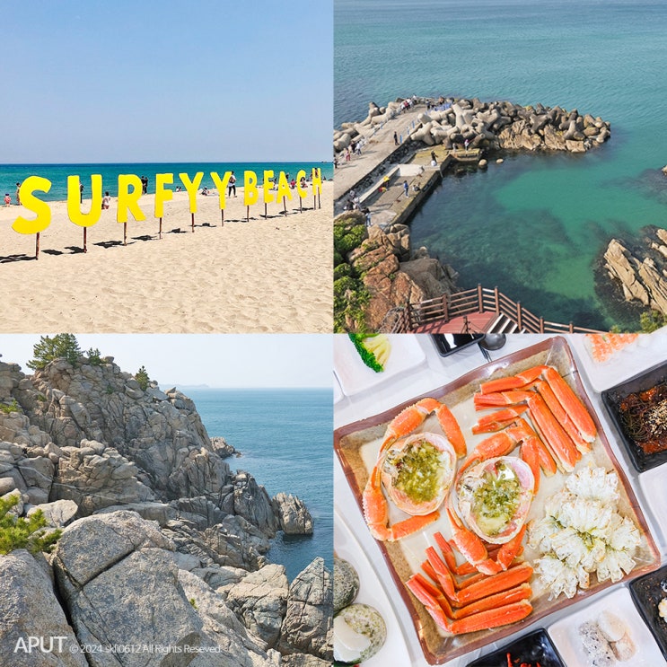 양양 가볼만한곳 서피비치 하조대 사랑대게 맛집 추천 네이버 블로그