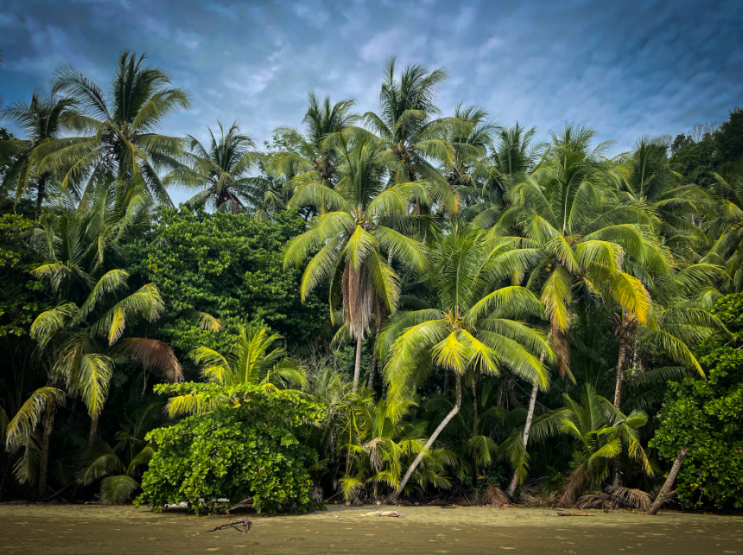 #368 적도 근처는 왜 더 더울까? - 지구의 열대 기후에 대한 이해 : 네이버 블로그