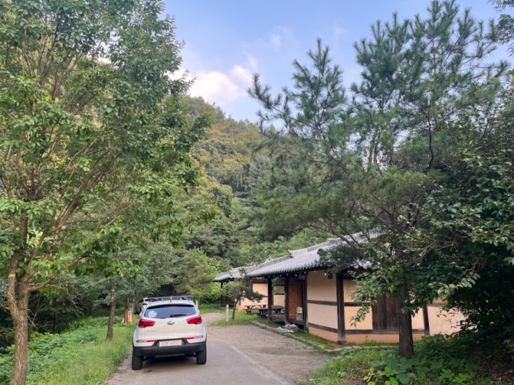 양평 맑은 숲 캠프 1박 2일 숙박바베큐 패키지로 힐링하고 온 후기야유회 가족모임 Mt 장소 추천내돈내산1