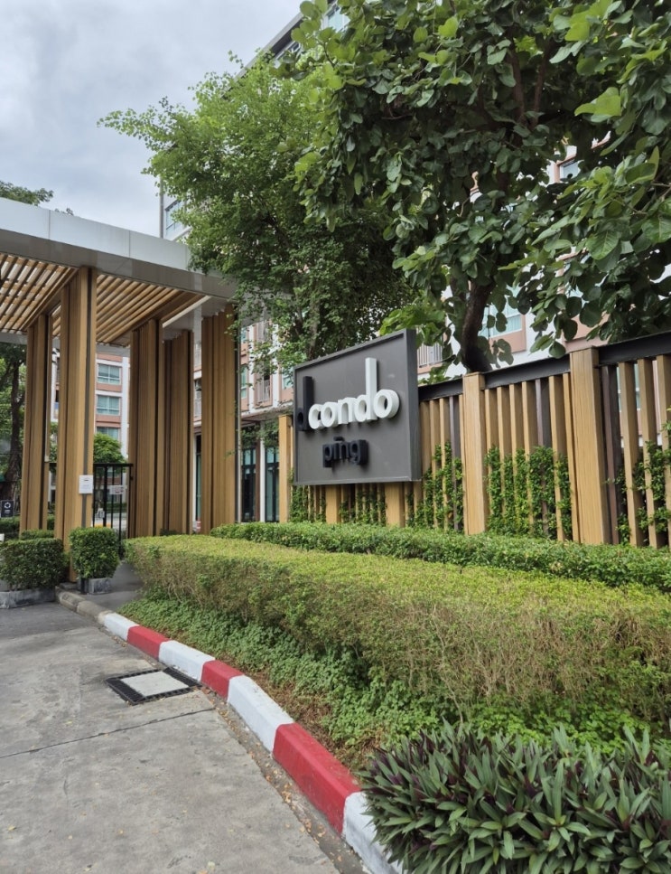 태국 치앙마이 한달살기 숙소 후기 디콘도핑 D condo ping : 네이버 블로그