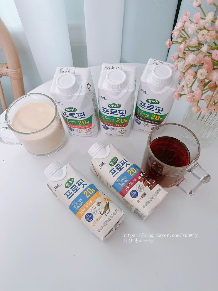 프로틴 단백질 음료 간편하고 맛있는 셀렉스 프로핏 네이버 블로그