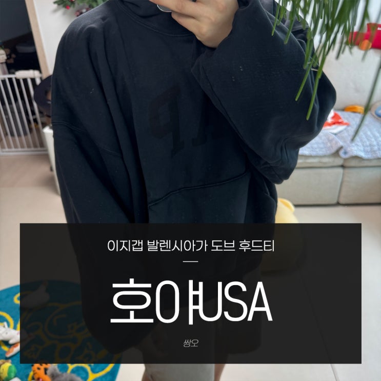 해외직구 이지갭 발렌시아가 도브 후드티 추천 미국직구 호야USA 배대지 후기 : 네이버 블로그