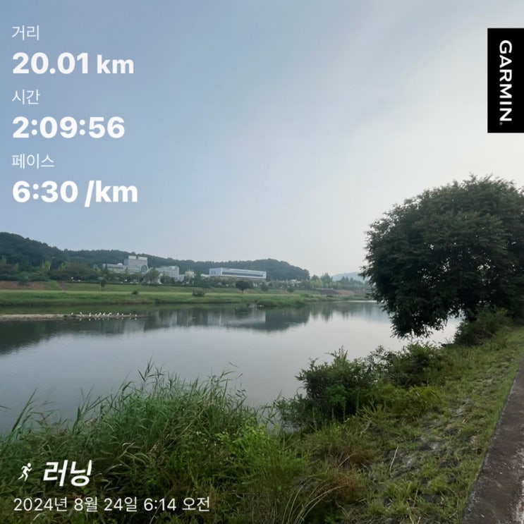 0825 대전 20km lsd, 탄수화물의 도시 : 네이버 블로그
