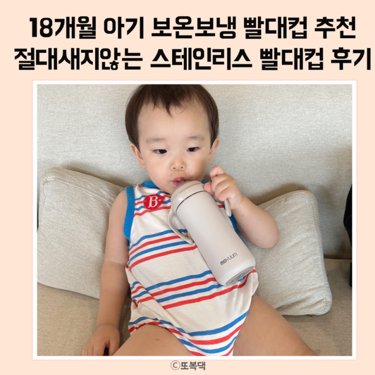 모윰 빨대컵 보온 보냉 가능한 아기 스테인리스 빨대컵 추천 네이버 블로그