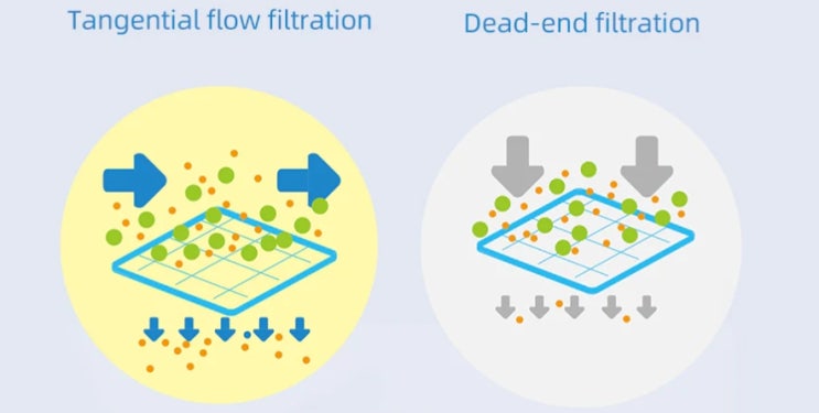 TFF(Tangential Flow Filtration) vs NFF(Normal Flow Filtration) : 차이점과 ...