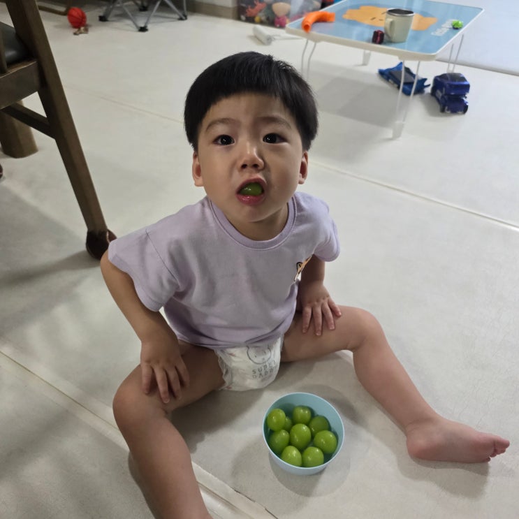 20240827 나바리의 삼형제 육아일기 : 시오작! : 네이버 블로그