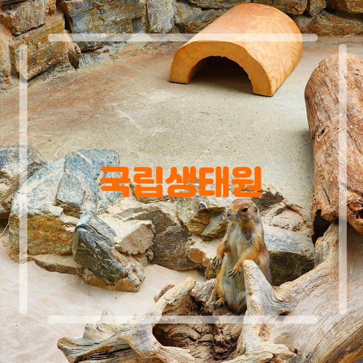충남 서천 국립생태원 가볼만한곳 아이랑 여행 나들이 여행지 네이버 블로그
