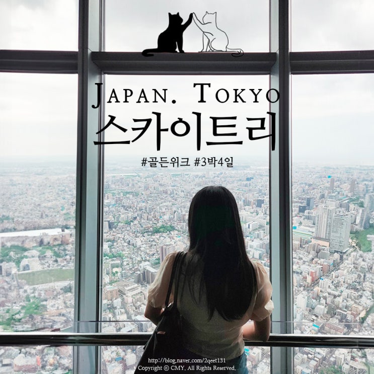일본 아사쿠사 자유여행 추천 코스 전망대 랜드마크 도쿄 스카이트리 타운미즈마치 네이버 블로그