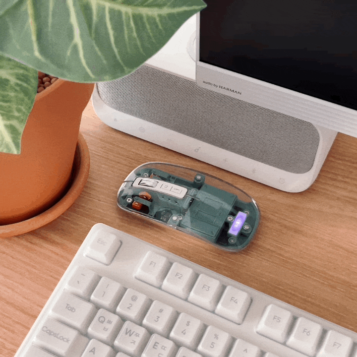 투명한 오비어스 블루투스 무선마우스로 완성된 데스크테리어 (내돈내산) : 네이버 블로그