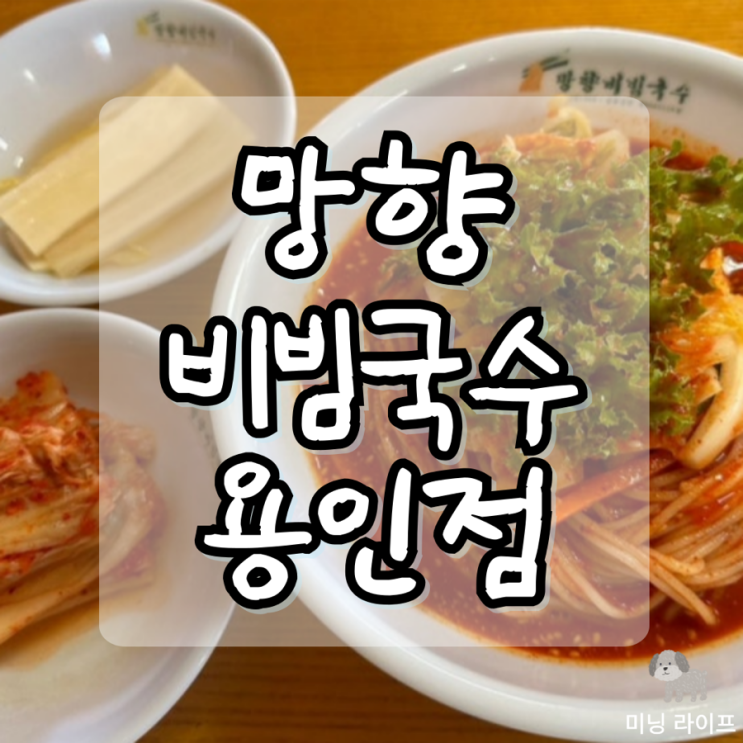 용인 동백 비빔국수 콩국수 맛집 망향비빔국수 방문 후기 : 네이버 블로그