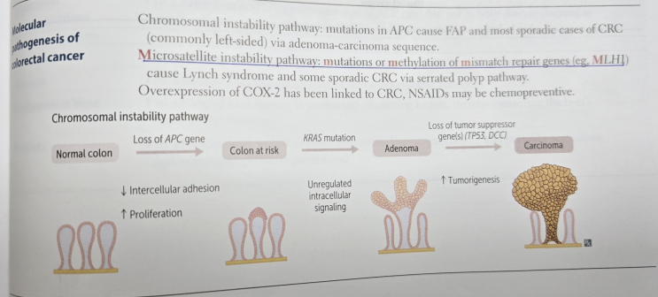 pathoma _ 7. GI : 네이버 블로그