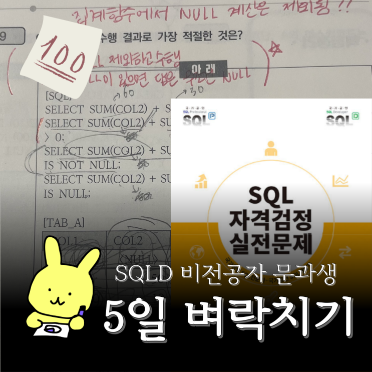 [공뷰] SQLD 개발자 54회 비전공자 문과 공부법 후기 (2) : 네이버 블로그