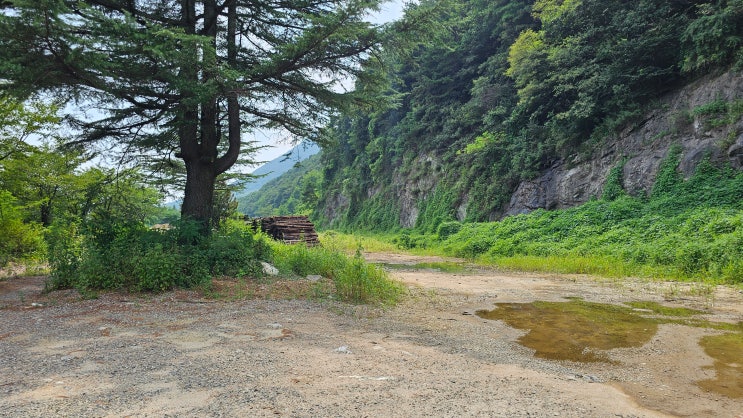 (구)문경역 터, 그리고 신역사 공사 현장 미리보기 : 네이버 블로그