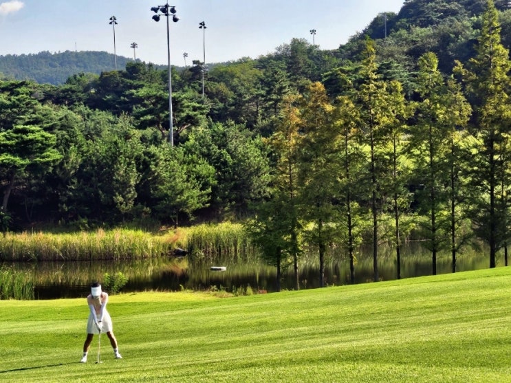 울산 골프장 골프존카운티 더골프cc 라운딩 후기 네이버 블로그