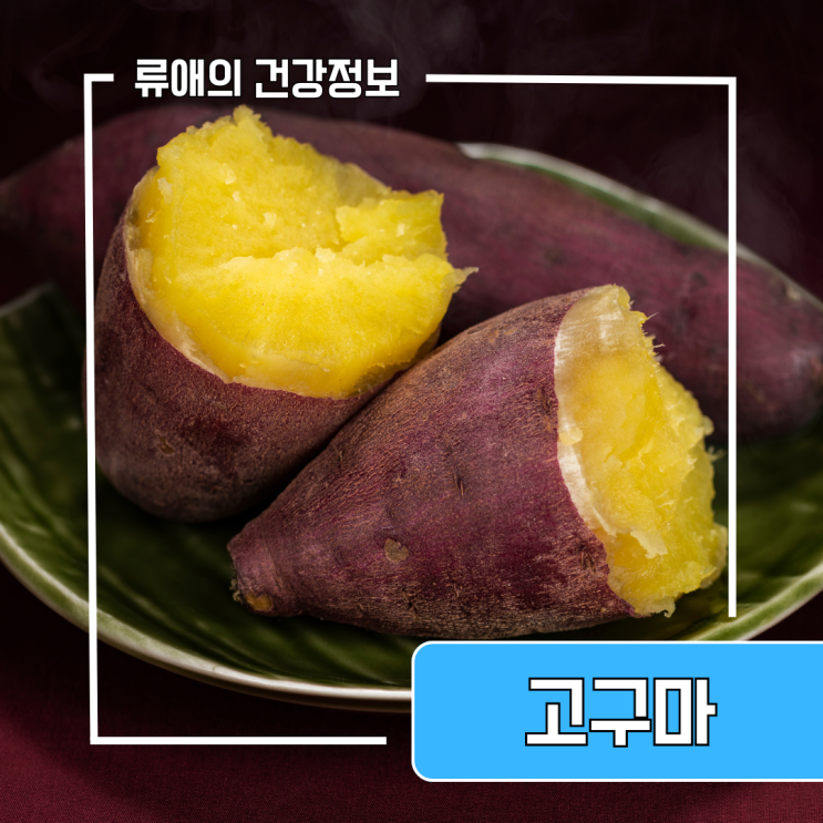 고구마 효능 부작용 생고구마 밤고구마 호박고구마 네이버 블로그