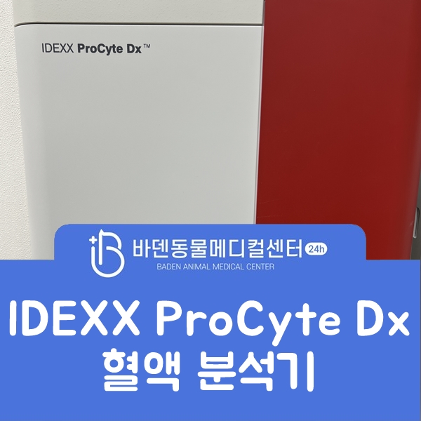 IDEXX ProCyte Dx 혈액 분석기 : 네이버 블로그