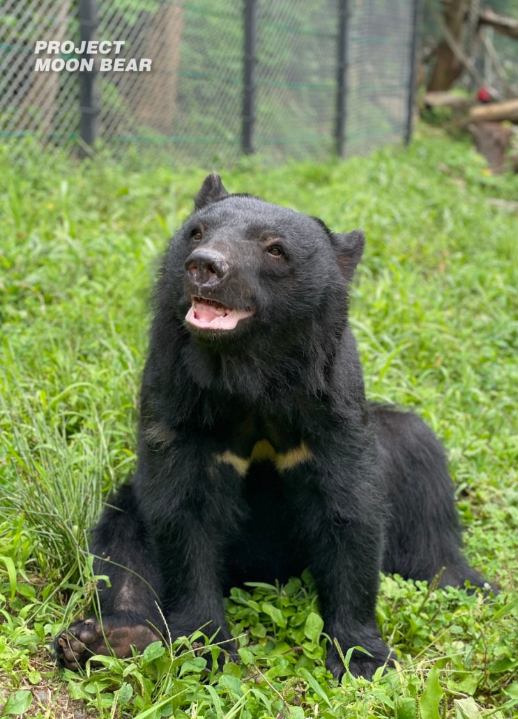 8월의 화천 곰🐻 : 네이버 블로그
