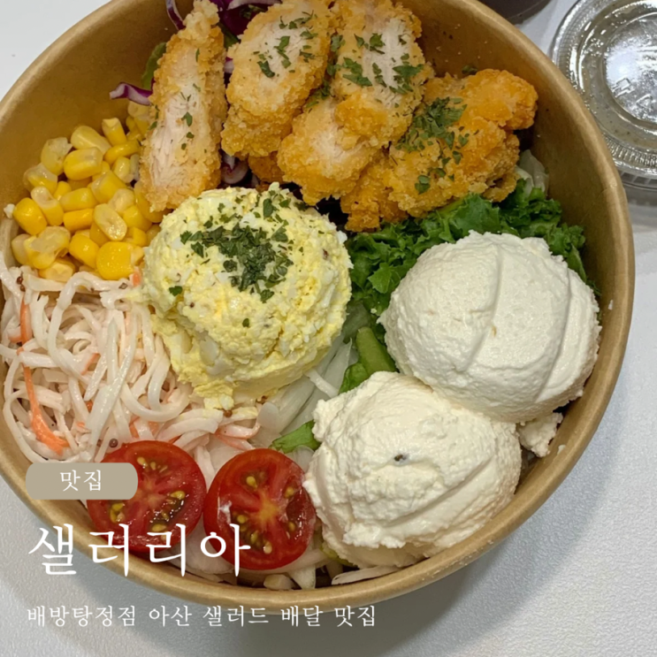 샐러리아 배방탕정점 아산 샐러드 배달 맛집 네이버 블로그
