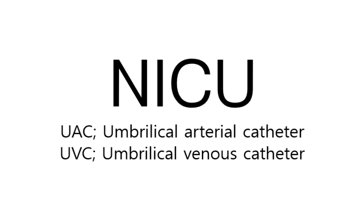 NICU UAC, UVC(제대동맥정맥도관) : 네이버 블로그