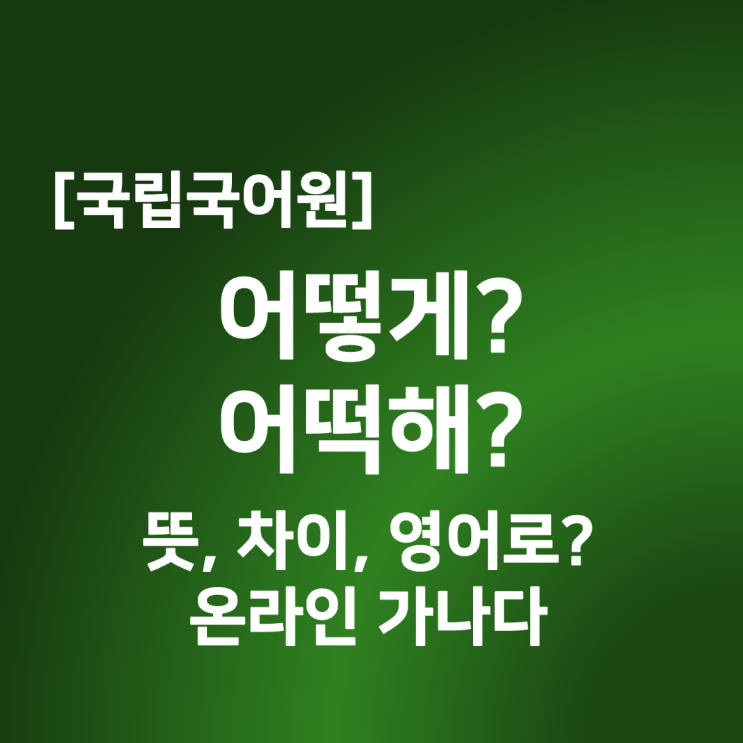 어떻게 어떡해 뜻 차이 영어로 네이버 블로그