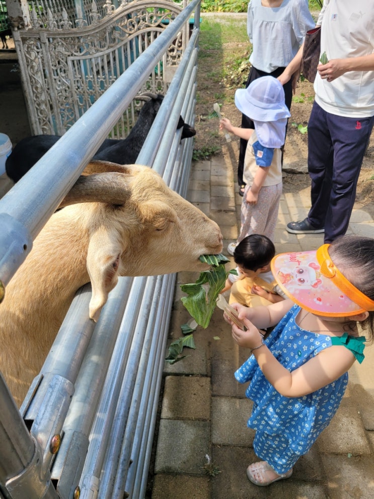 남양주 어린이 체험 다양한 프로그램 안데르센정원 : 네이버 블로그