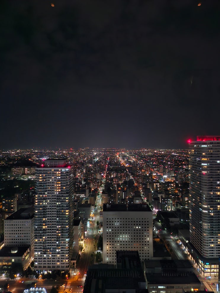 여름 삿포로 여행 Day2(이타다키 코코짱, JR 타워 T38 전망대, 샤코탄진) : 네이버 블로그