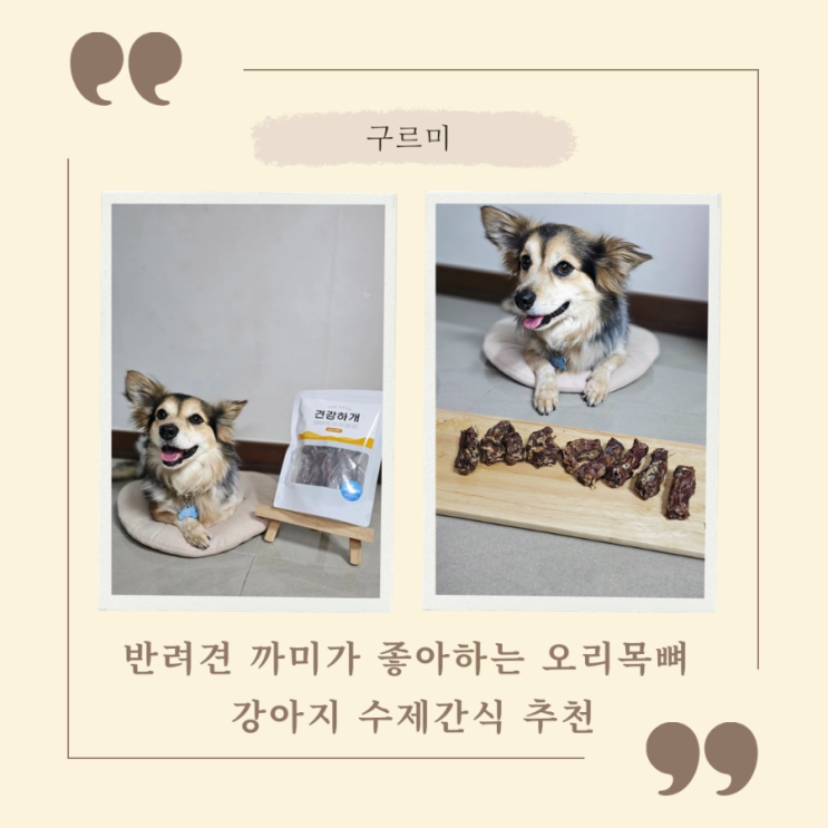 반려견 까미가 좋아하는 오리목뼈 강아지 수제간식 추천 네이버 블로그