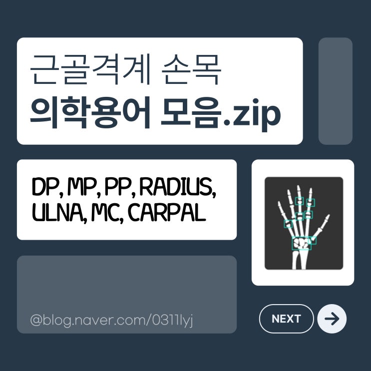 근골격계 손목 의학용어/약어 (DP, MP, PP, RADIUS, ULNA, MC, CARPAL) : 네이버 블로그